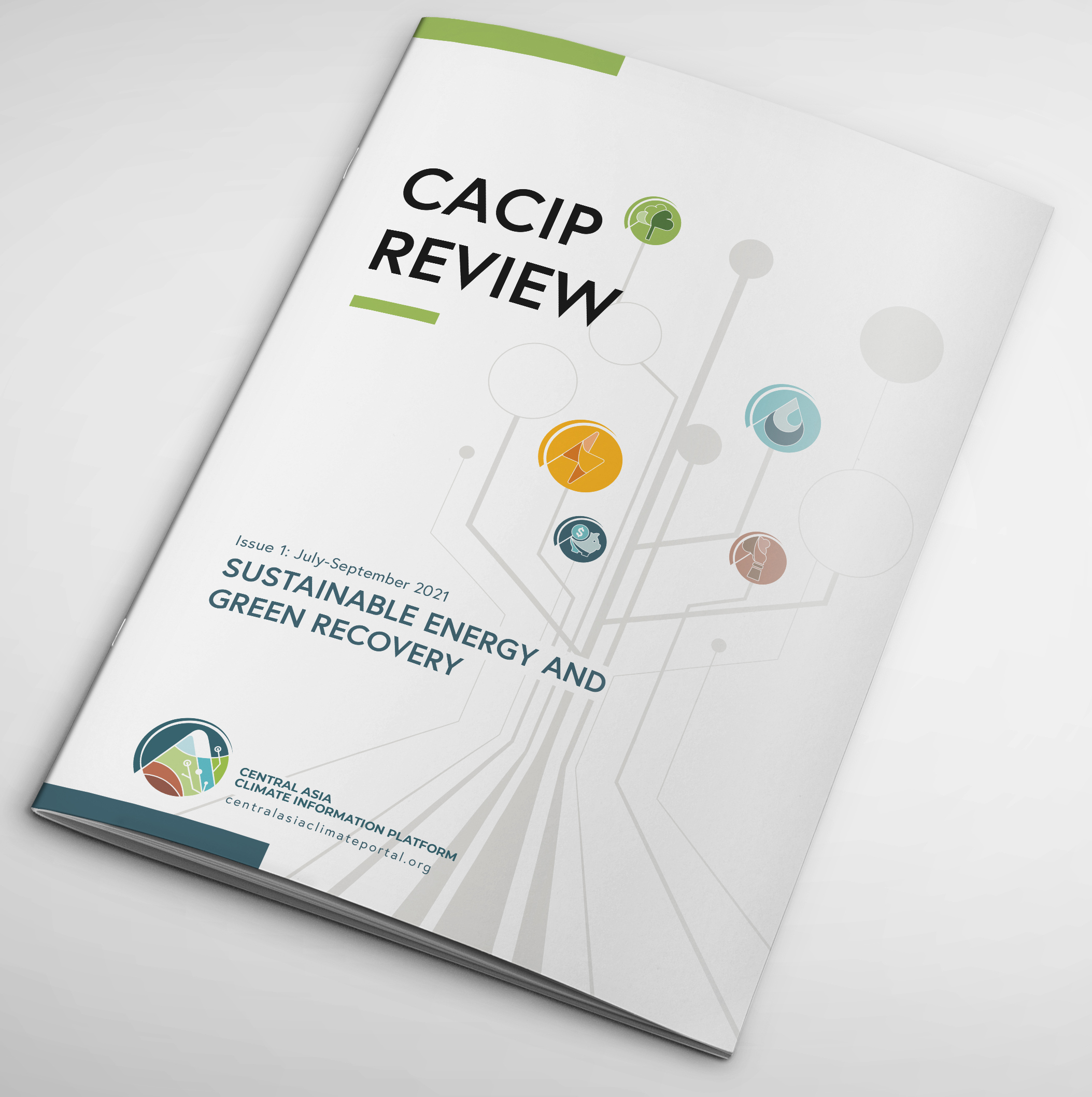 CACIP Review | Zoï Environment Network