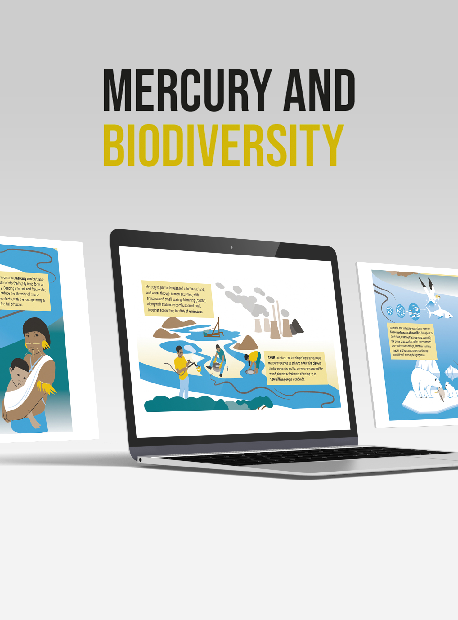 Minamata Convention infographics | Zoï Environment Network