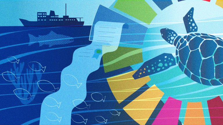 InforMEA E-Learning | Zoï Environment Network