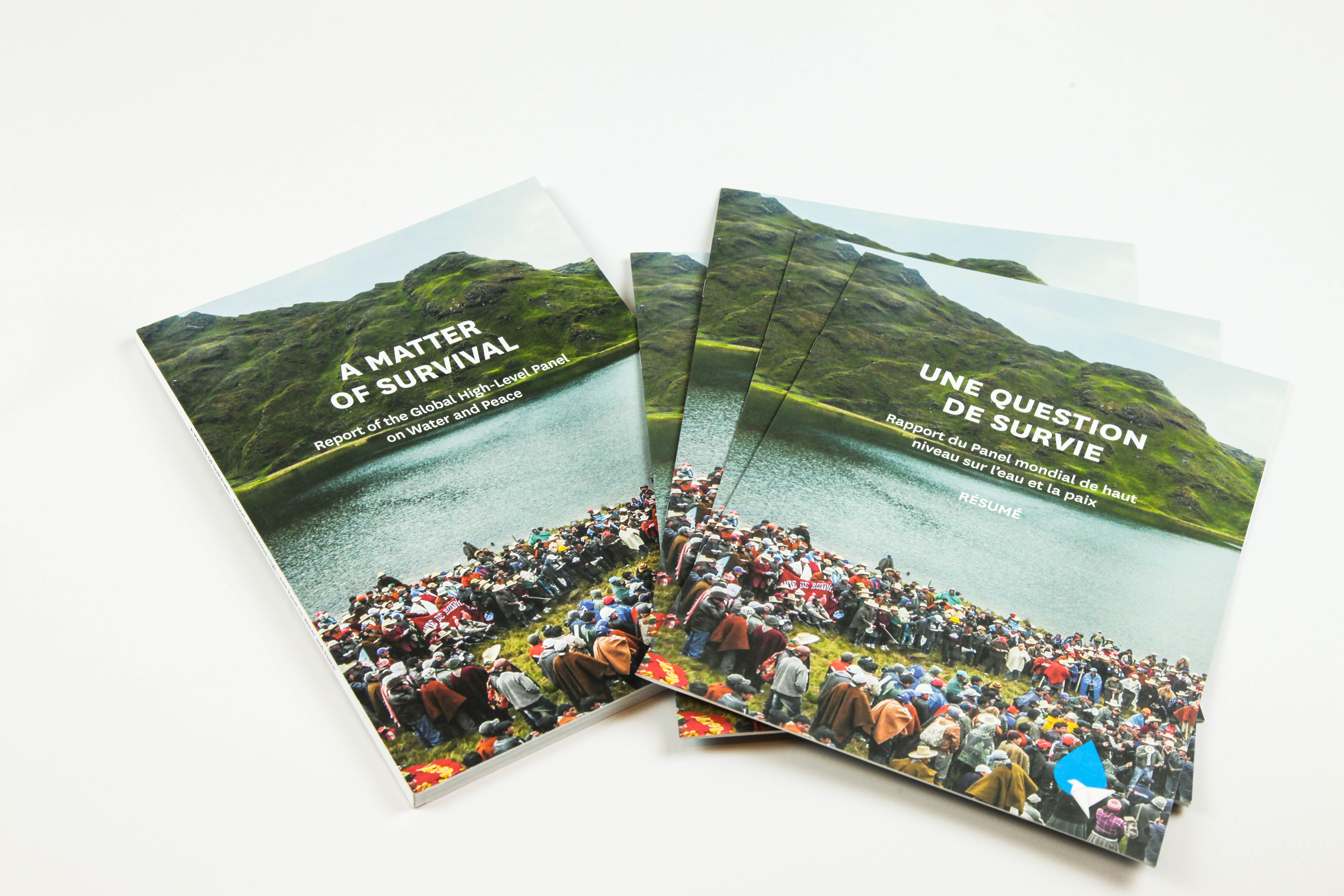 A Matter of Survival: Report of the Global High-Level Panel on Water ...