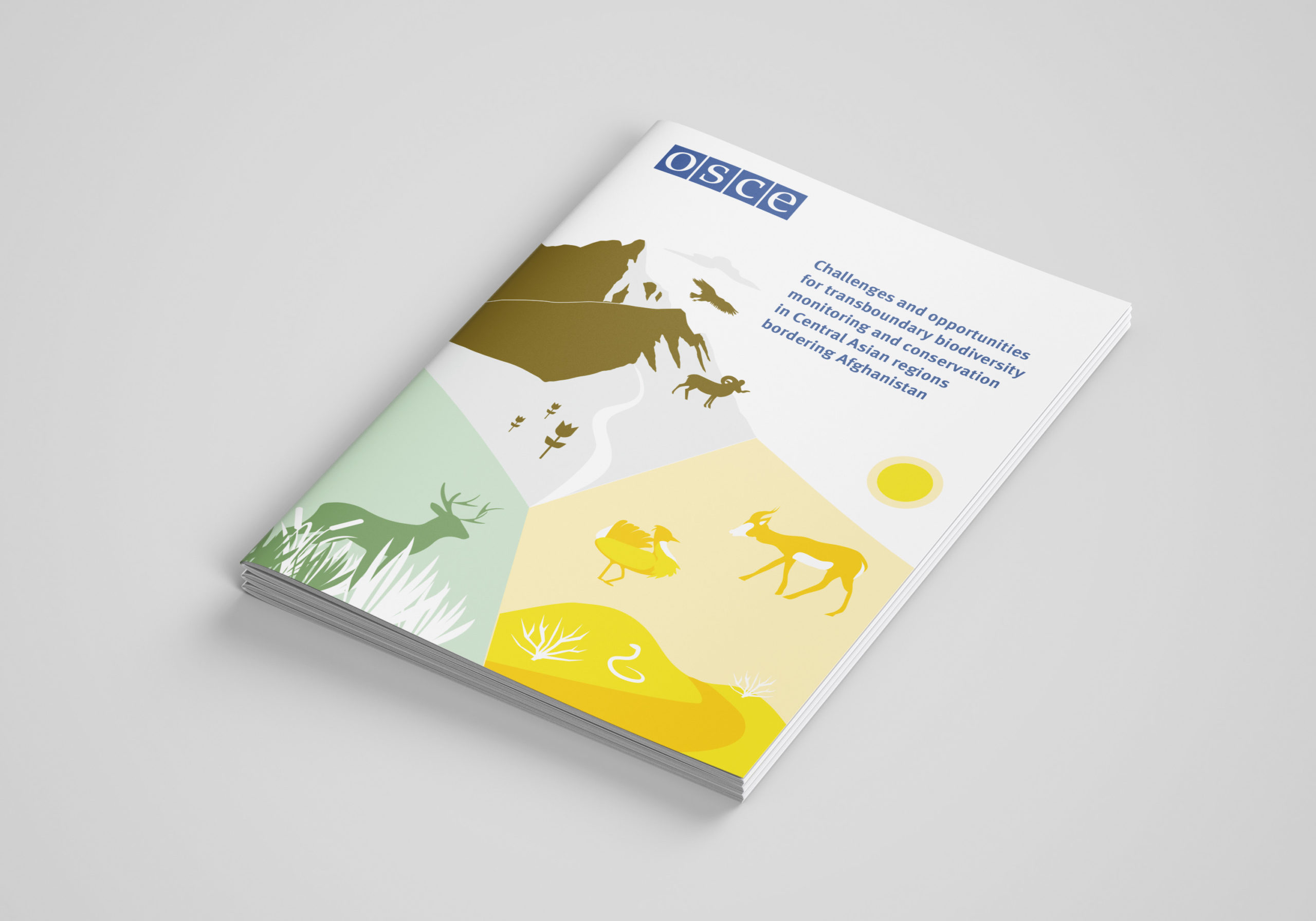 Challenges and opportunities for transboundary biodiversity monitoring ...